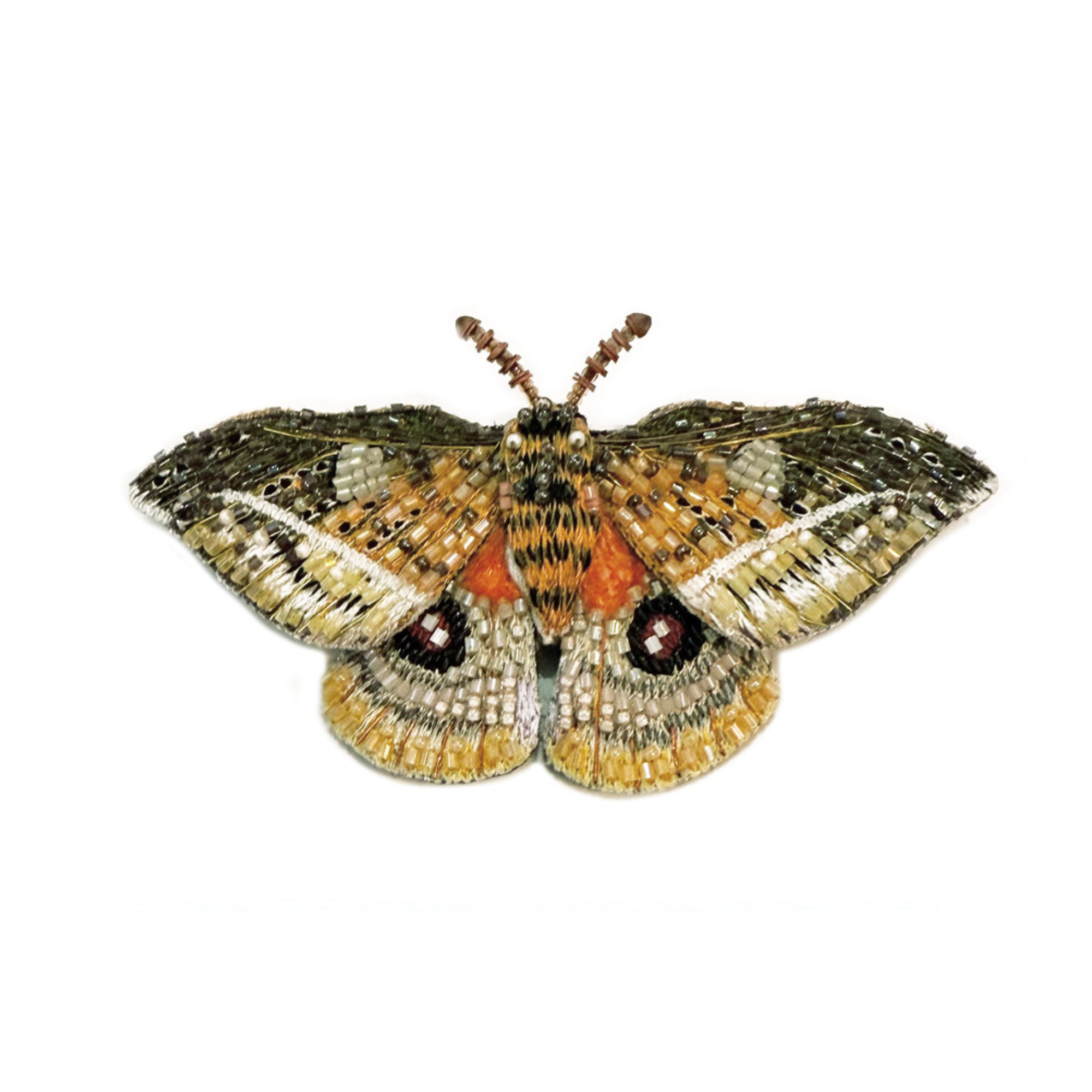 Emperor Automaria Moth Brooch Pin – The Store at MAD